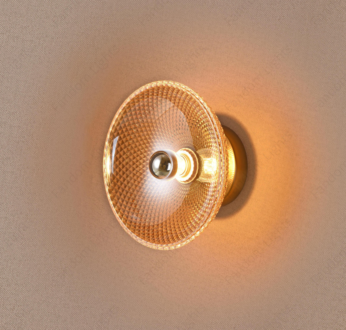 Photofromashishmittal_8_-2_1200x1200.jpg?v=1709371650