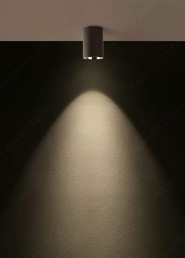 Cylinder Ceiling Lighting Led Outdoor CYL6. 6 Inch Round
